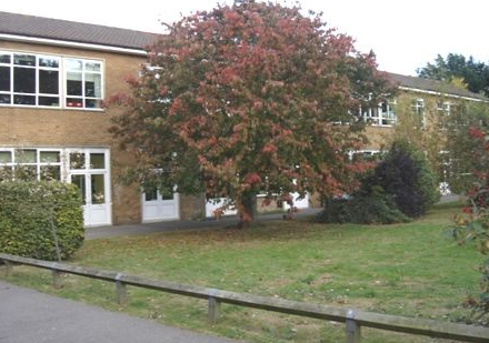 Yattendon School Career Site